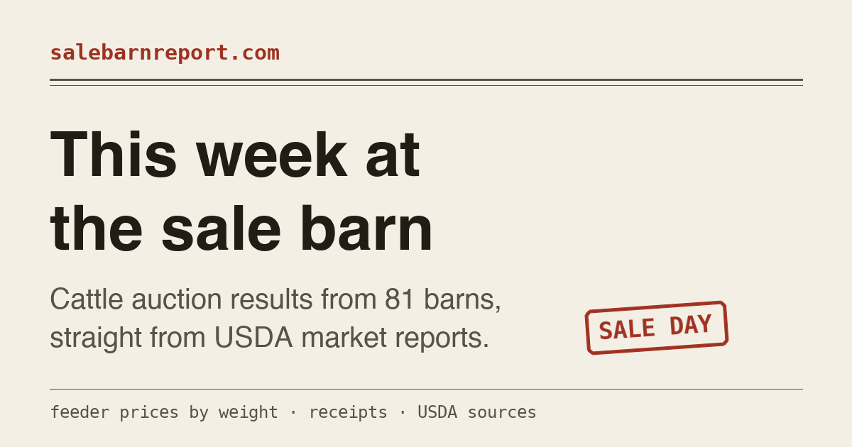 Download the Data - Sale Barn Report